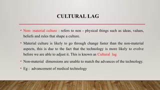 seminar cultural lag cultural inertia.pptx