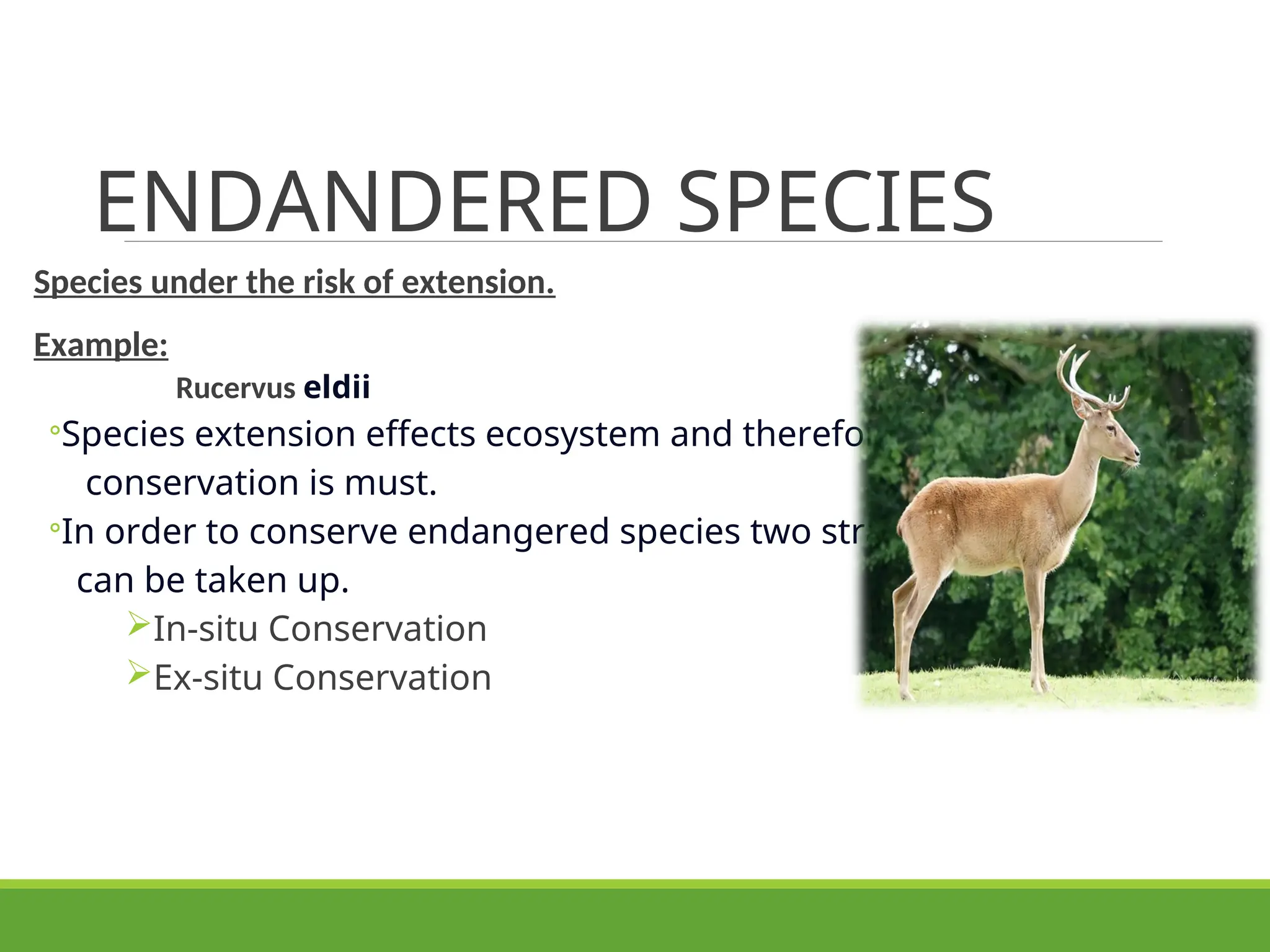 endangered conservation of ppt Seminar.ppt