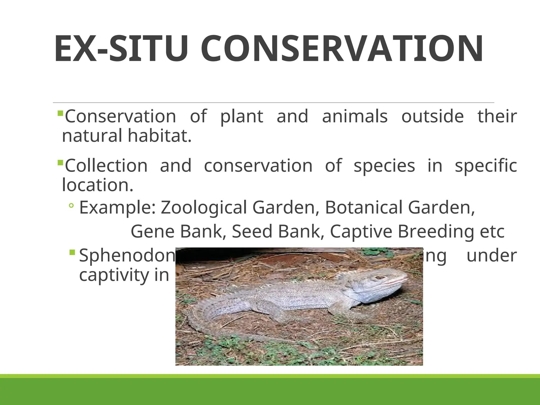 endangered conservation of ppt Seminar.ppt