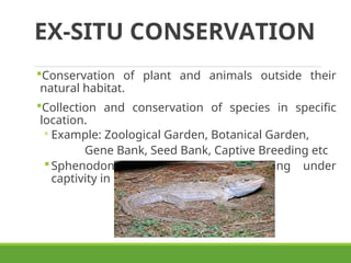 endangered conservation of ppt Seminar.ppt