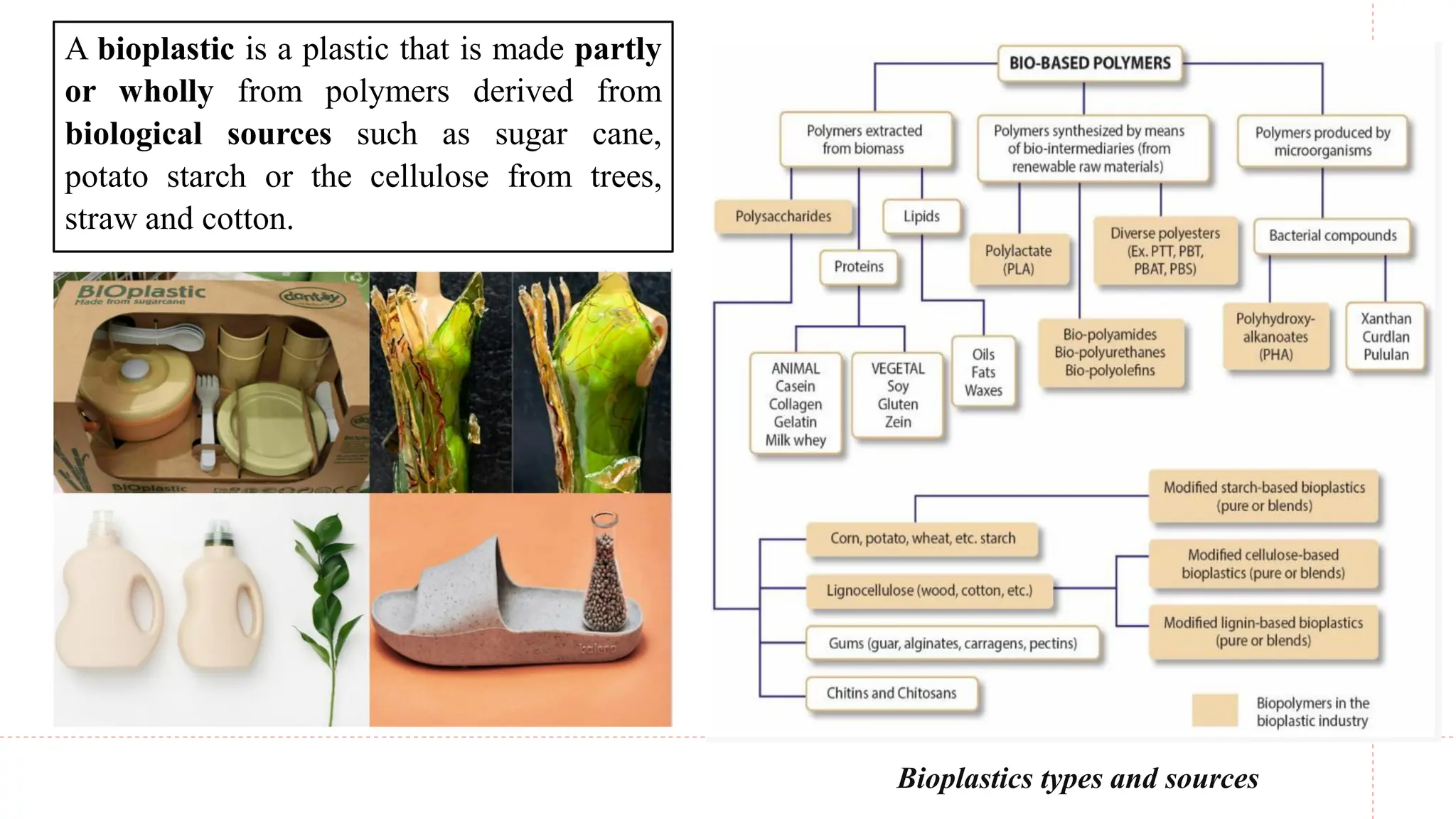 Bioplastics .pdf