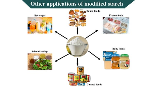 Modified starch as an encapsulation material for bioactive delivery | PPTX