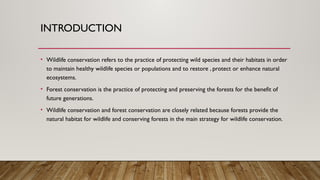 Conservation of wildlife and forest.pptx