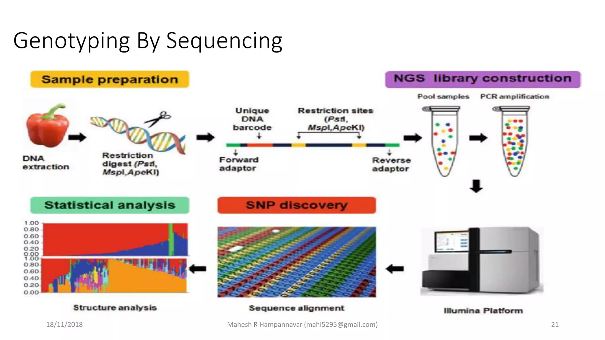 Fine QTL Mapping- A step towards Marker Assisted Selection (II) | PPTX