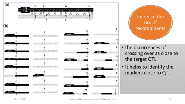 Fine QTL Mapping- A step towards Marker Assisted Selection (II) | PPTX ...