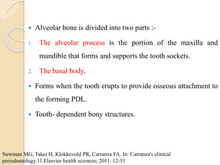 alveolar bone | PPTX