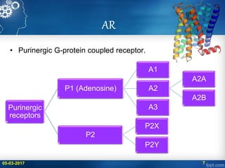 Adenosine Receptor Structure