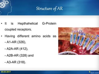Adenosine Receptor Structure