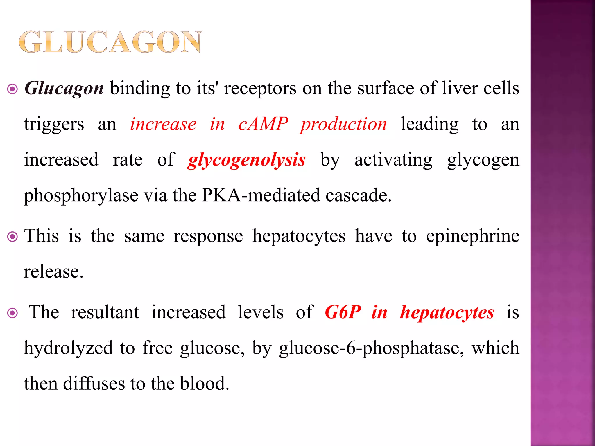 regulation of blood sugar | PPTX