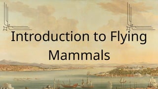 Flying mammal Evolution - Bat Evolution.pptx
