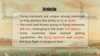 Flying mammal Evolution - Bat Evolution.pptx