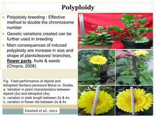 Breeding for Different Flower Forms in Ornamental Crops | PPTX