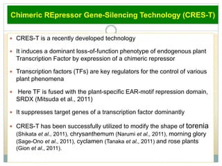 Breeding for Different Flower Forms in Ornamental Crops | PPTX