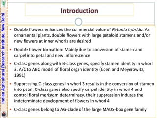 Breeding for Different Flower Forms in Ornamental Crops | PPTX