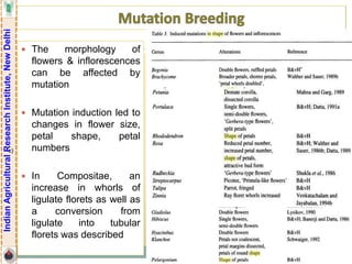 Breeding for Different Flower Forms in Ornamental Crops | PPTX