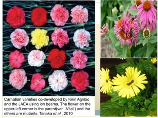 Breeding for Different Flower Forms in Ornamental Crops | PPTX