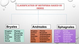 SEMINAR- BRYOPHYTES AND ITS CLASSIFICATIONS. | PPTX