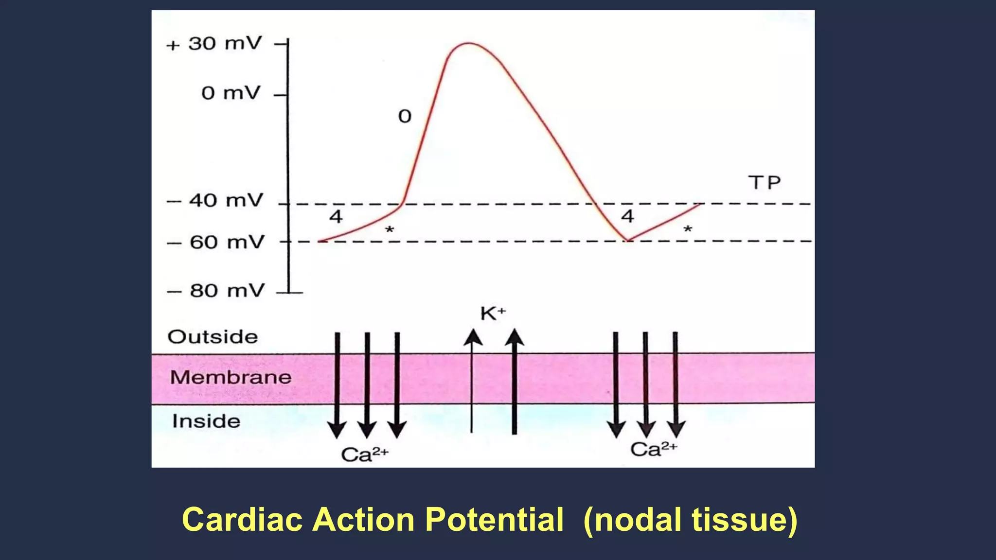 Pharmacotherapy of Cardiac arrhythmias | PPTX