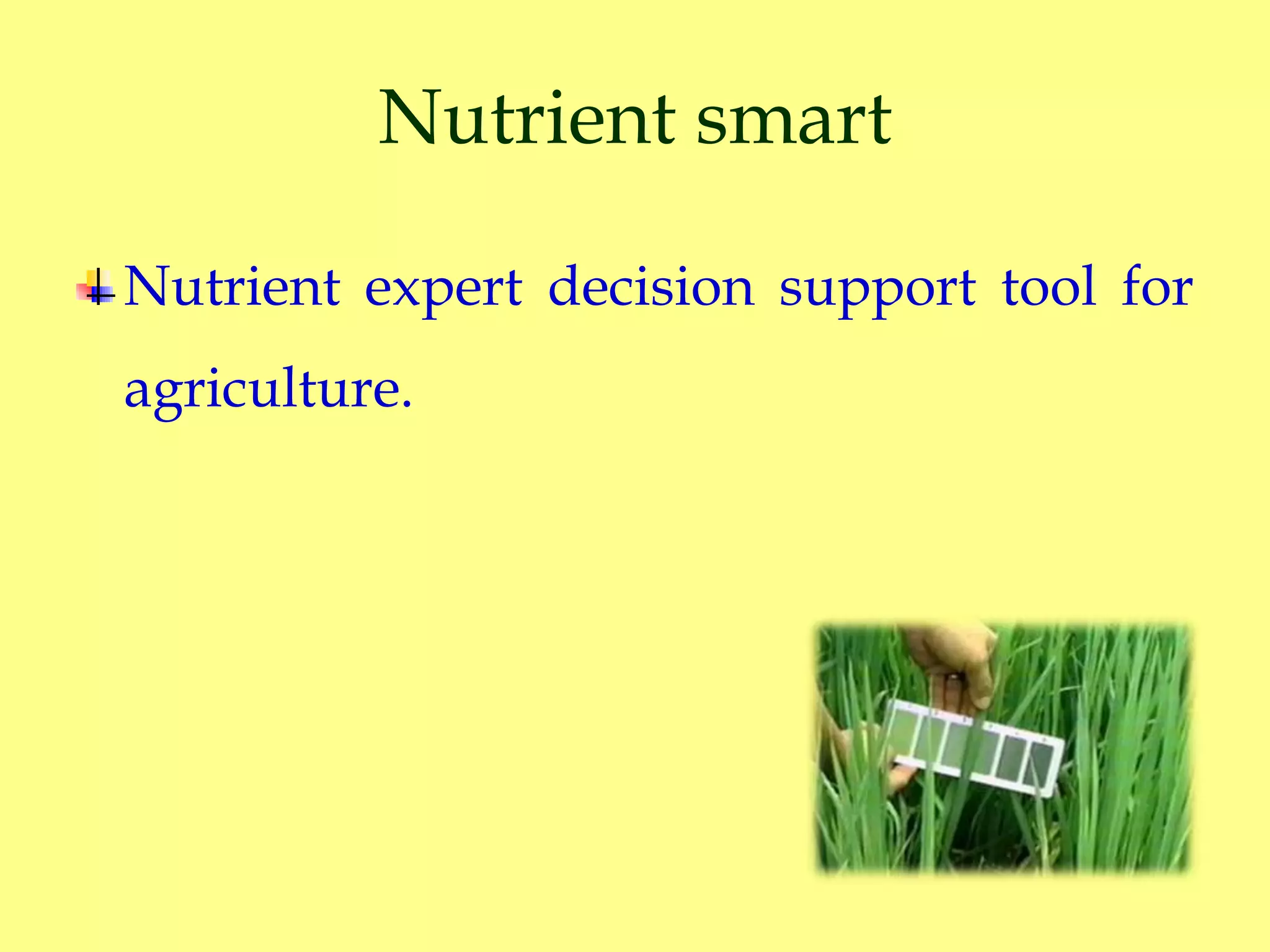 Climate Smart Agriculture | PPTX