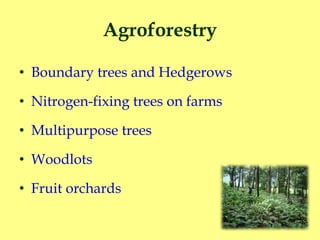 Climate Smart Agriculture | PPTX