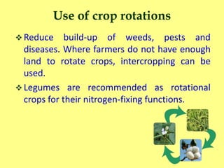 Climate Smart Agriculture | PPTX