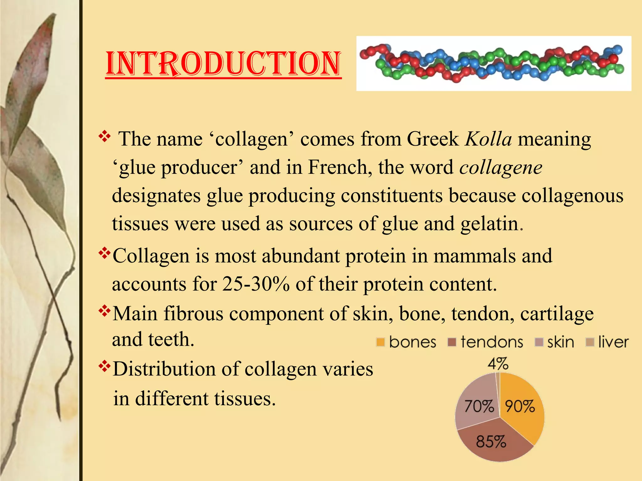 Seminar collagen | PPT