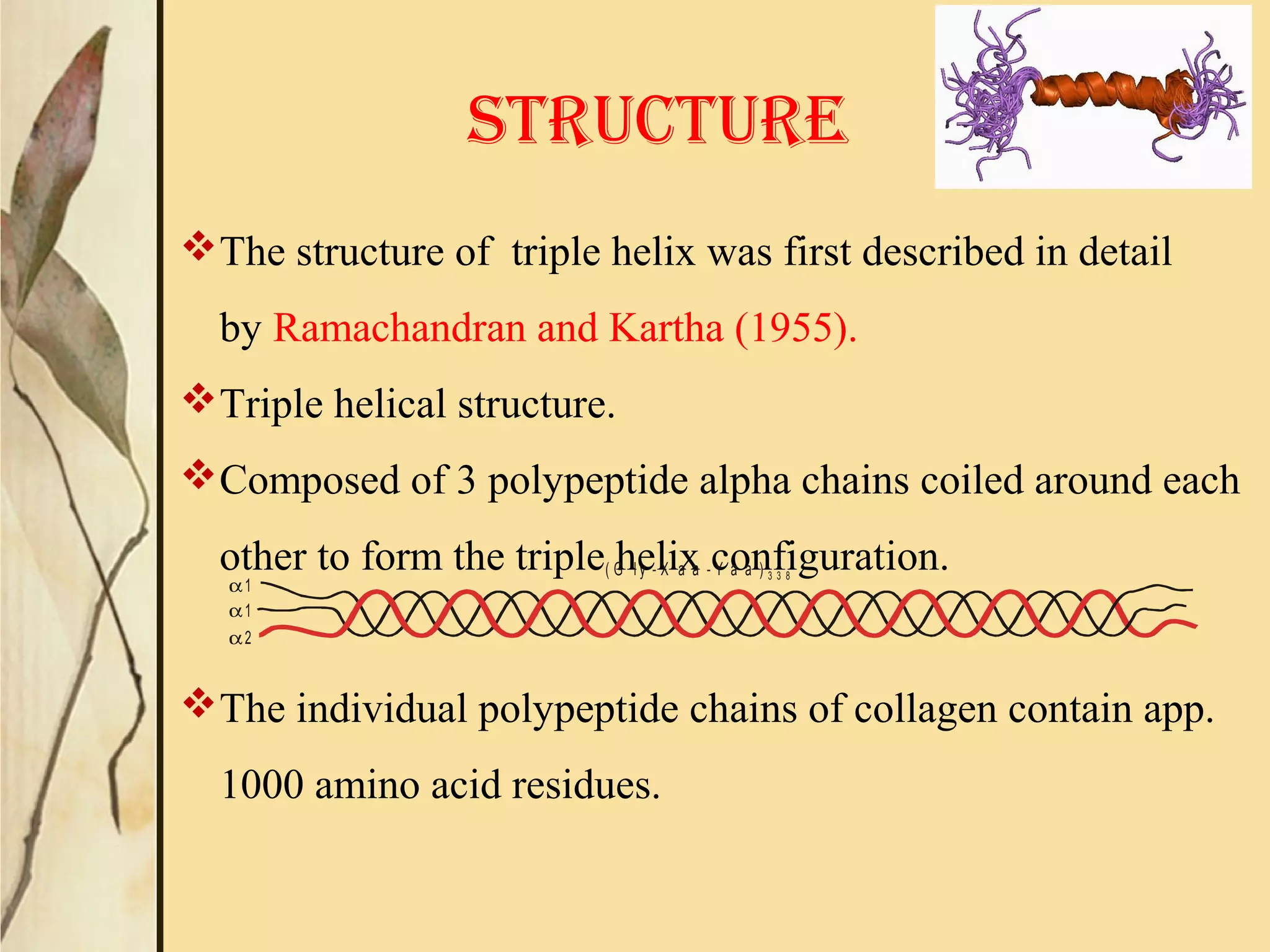 Seminar collagen | PPT
