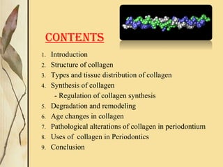 Seminar collagen | PPT