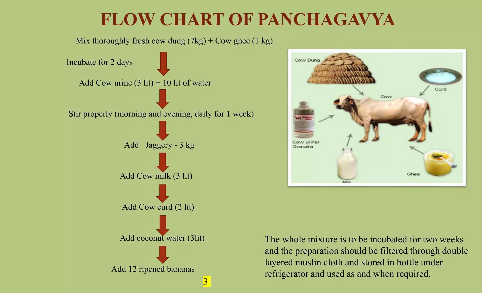 panchagavya.pptx