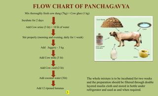 panchagavya.pptx