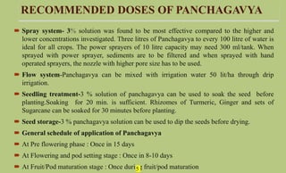 panchagavya.pptx