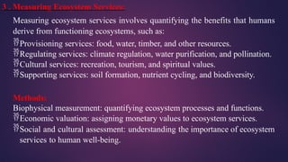 SEMINAR -assignment ecosystem FRM-506.pptx