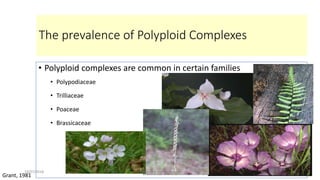POLYPLOID CROP RESEARCH IN THE AGE OF GENOMICS | PPTX