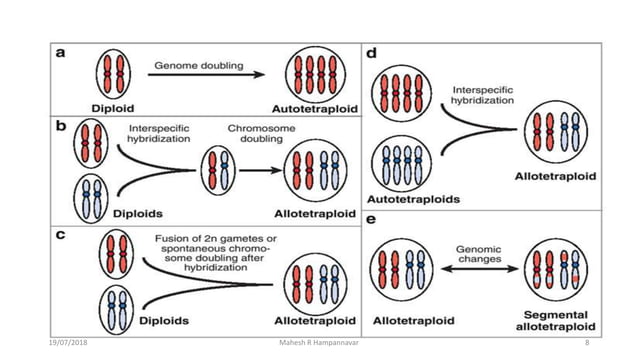 POLYPLOID CROP RESEARCH IN THE AGE OF GENOMICS | PPT