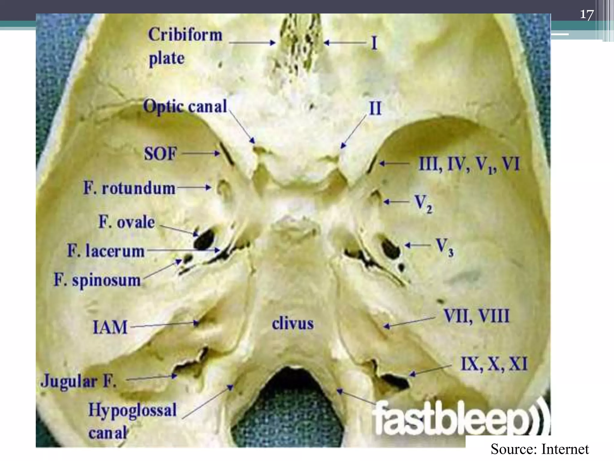 Seminar innervation of maxillofacial structures | PPTX