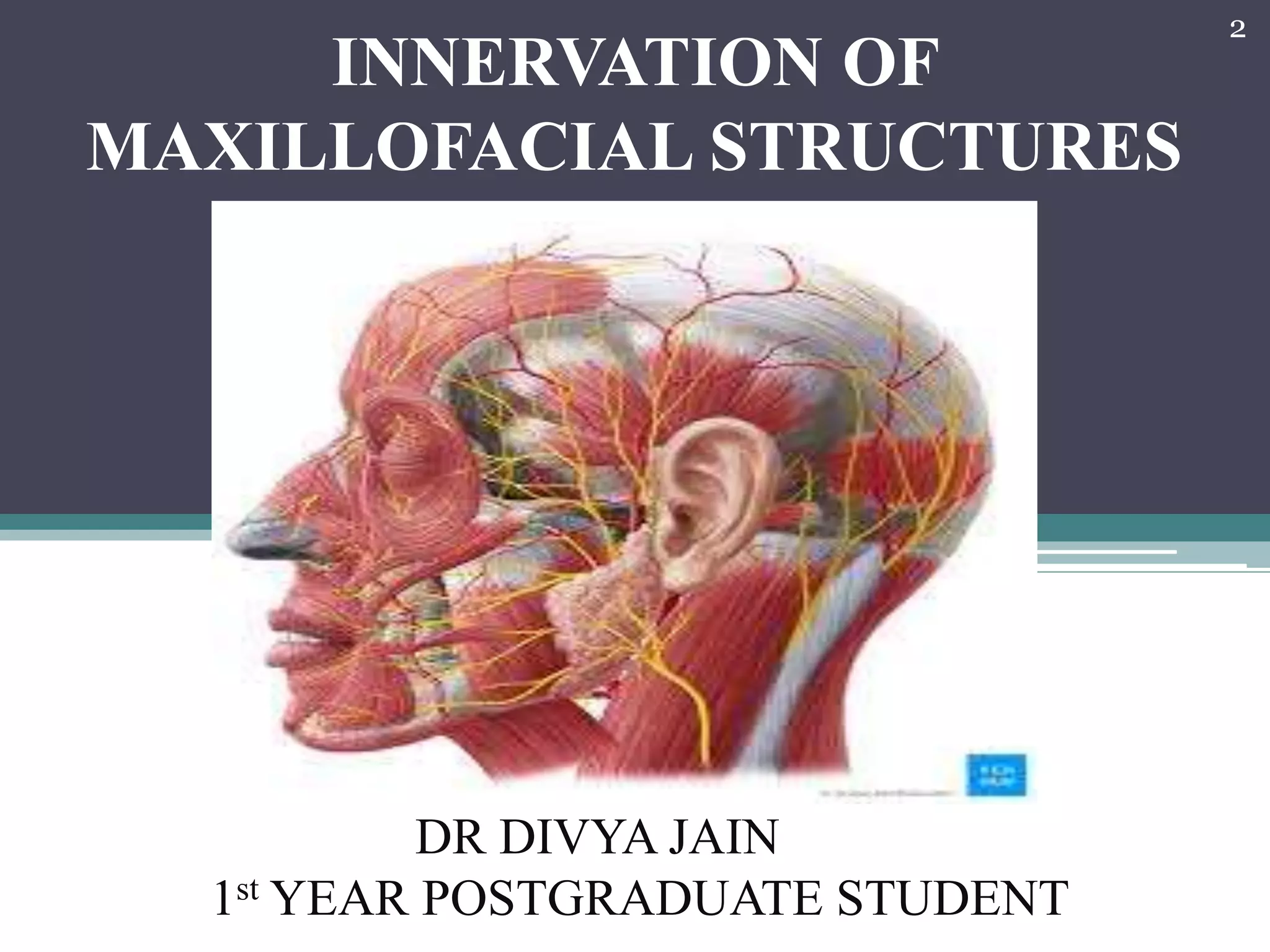 Seminar innervation of maxillofacial structures | PPTX