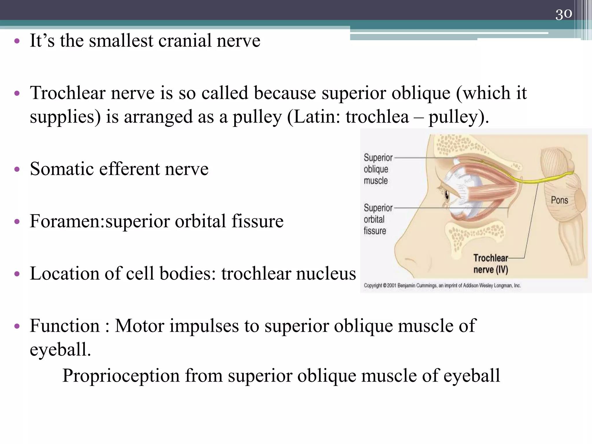 Seminar innervation of maxillofacial structures | PPTX