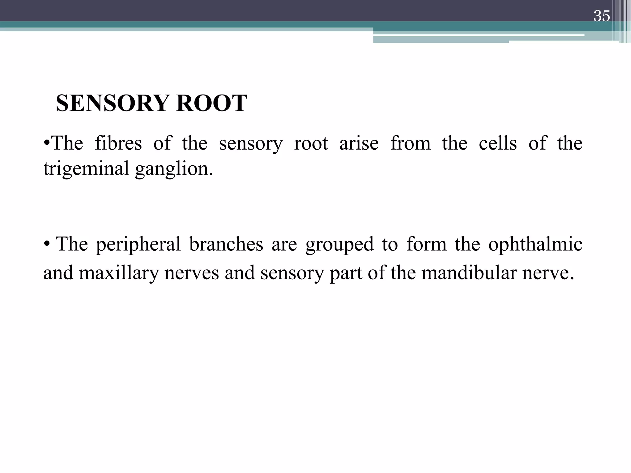 Seminar innervation of maxillofacial structures | PPTX