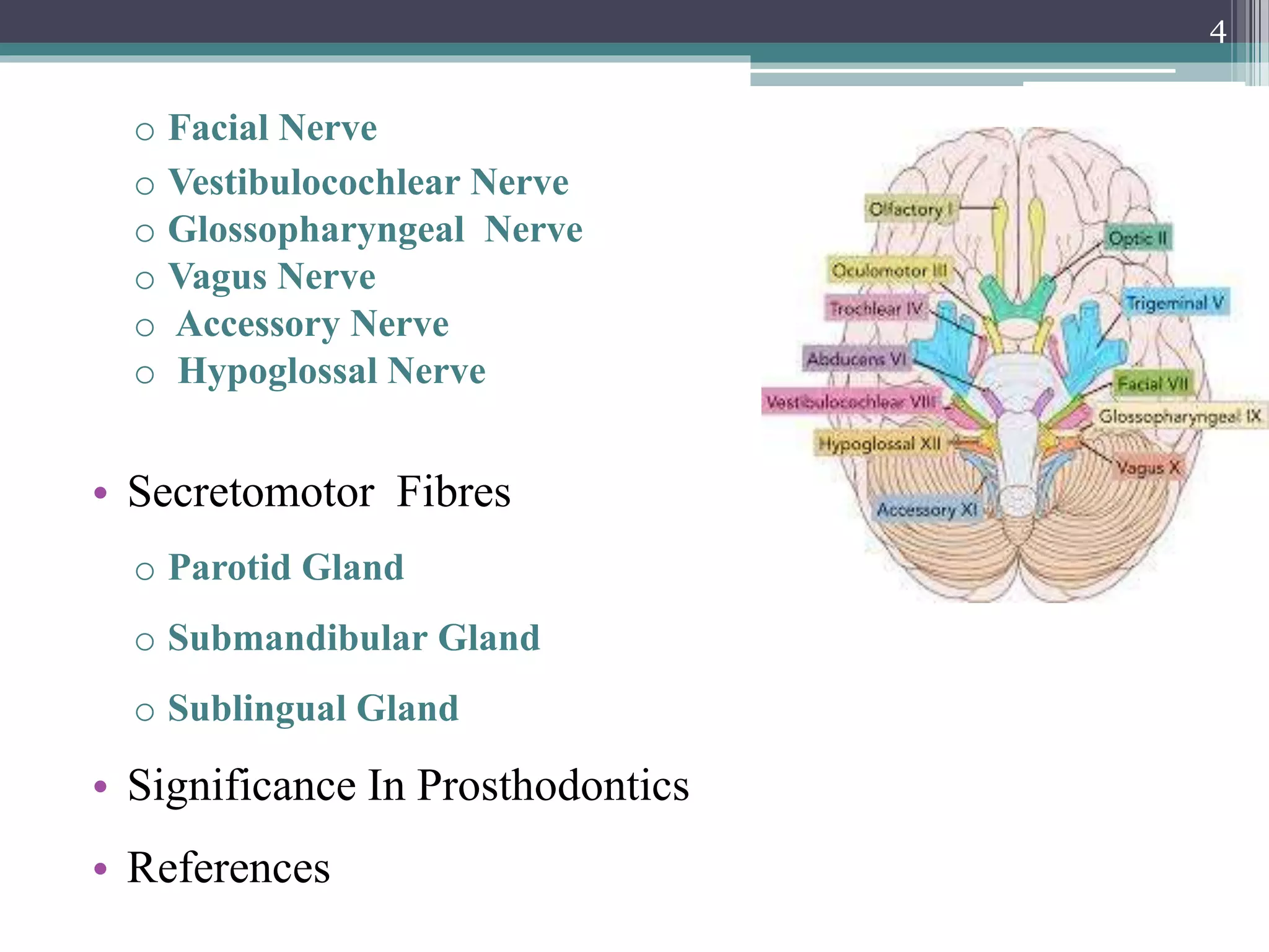 Seminar innervation of maxillofacial structures | PPTX