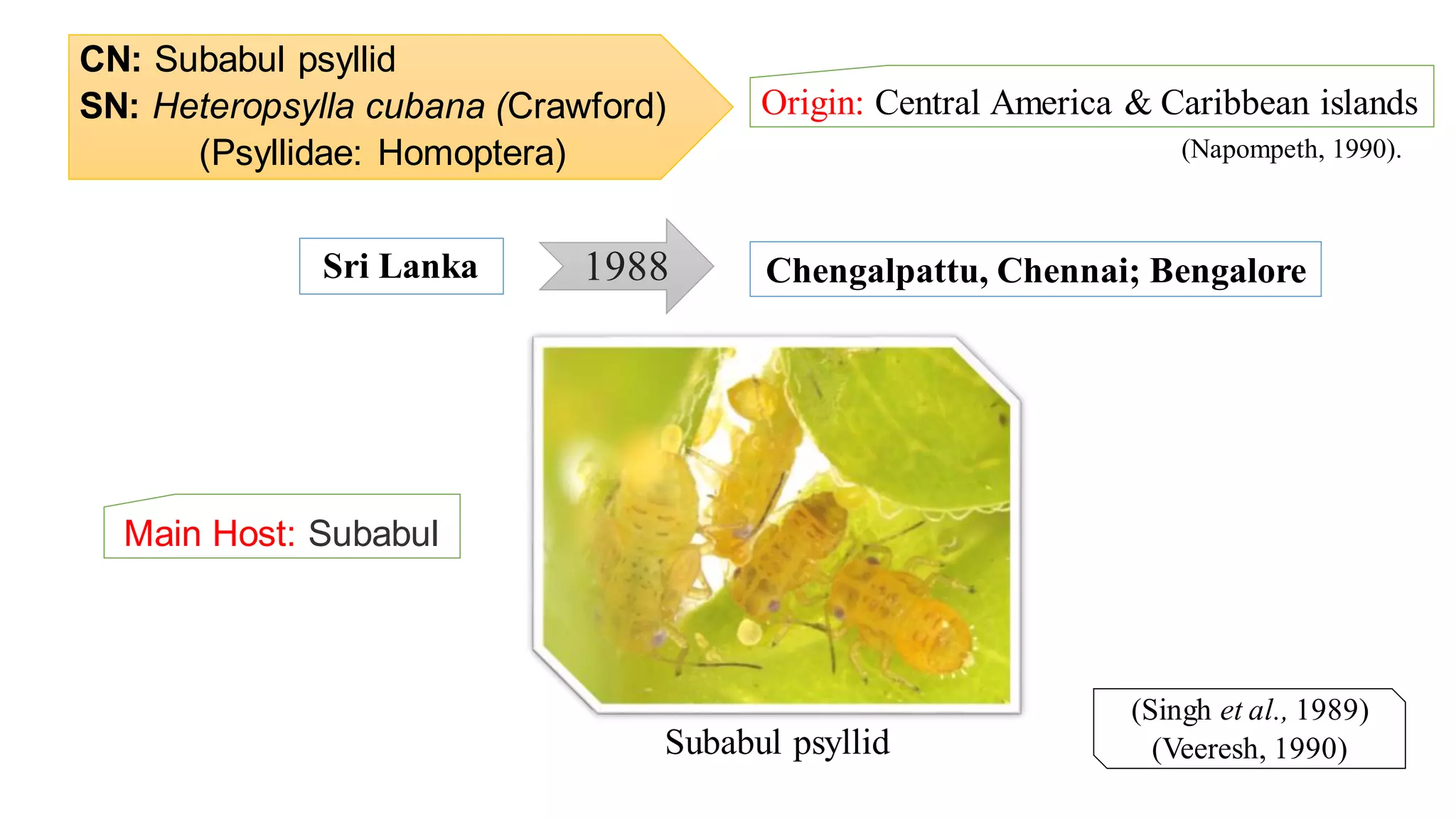 Invasive pests in India | PDF