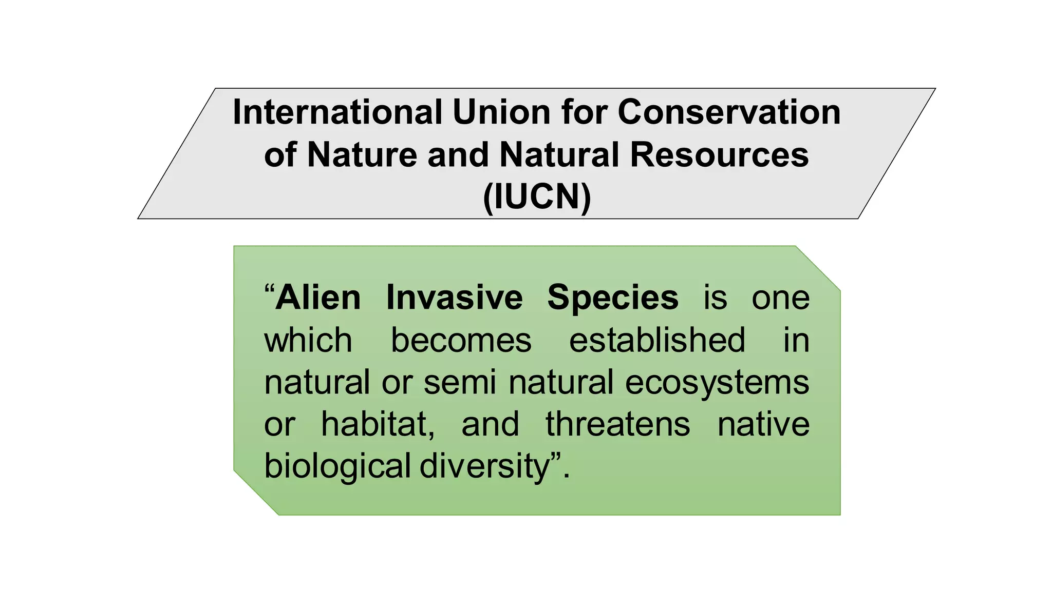 Invasive pests in India | PDF