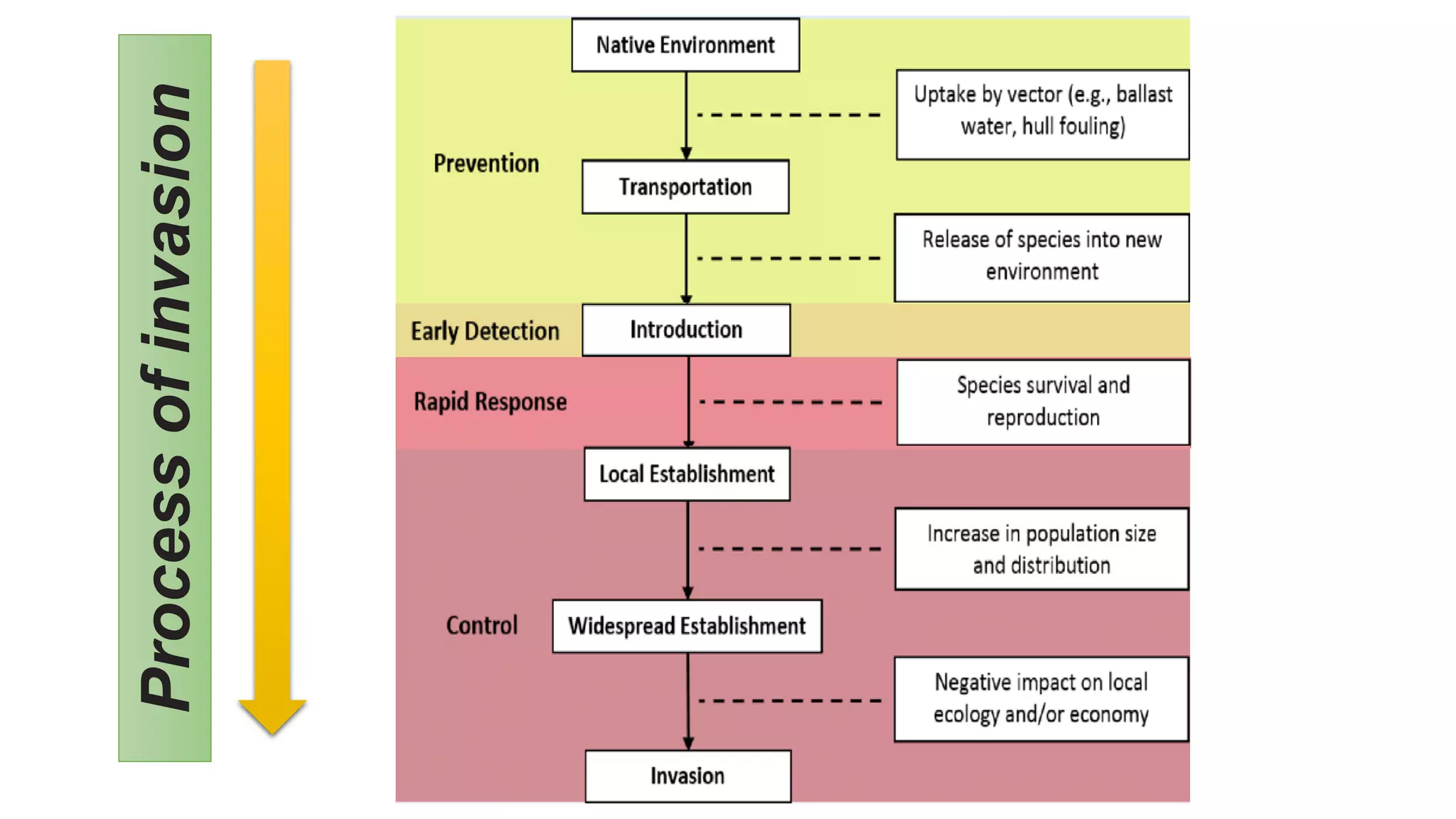 Invasive pests in India | PDF