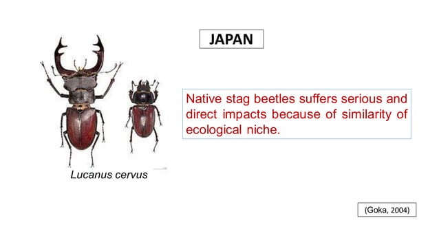 Invasive pests in India | PDF | Agriculture | Industries