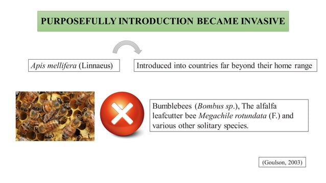 Invasive pests in India | PDF | Agriculture | Industries