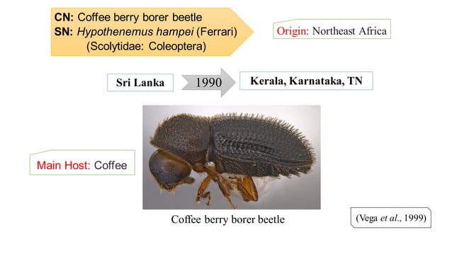 Invasive pests in India | PDF | Agriculture | Industries