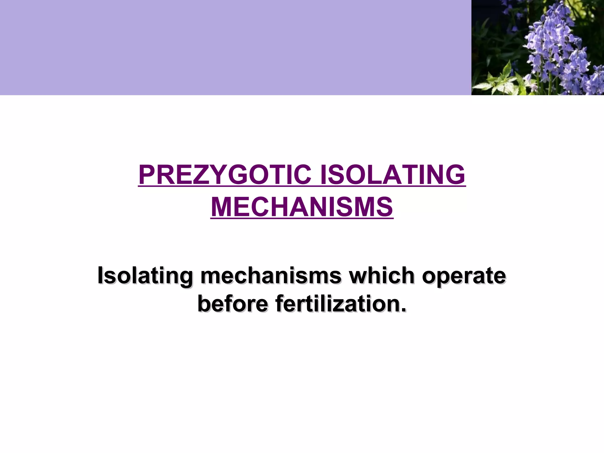 Isolating mechanisms - kashmeera | PPT
