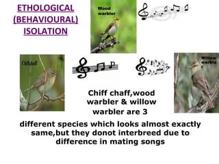 Isolating mechanisms - kashmeera | PPT