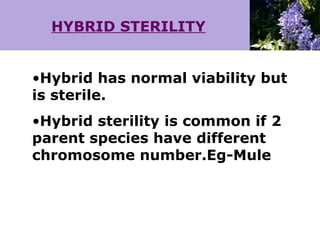 Isolating mechanisms - kashmeera | PPT
