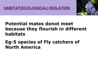 Ecological Isolation