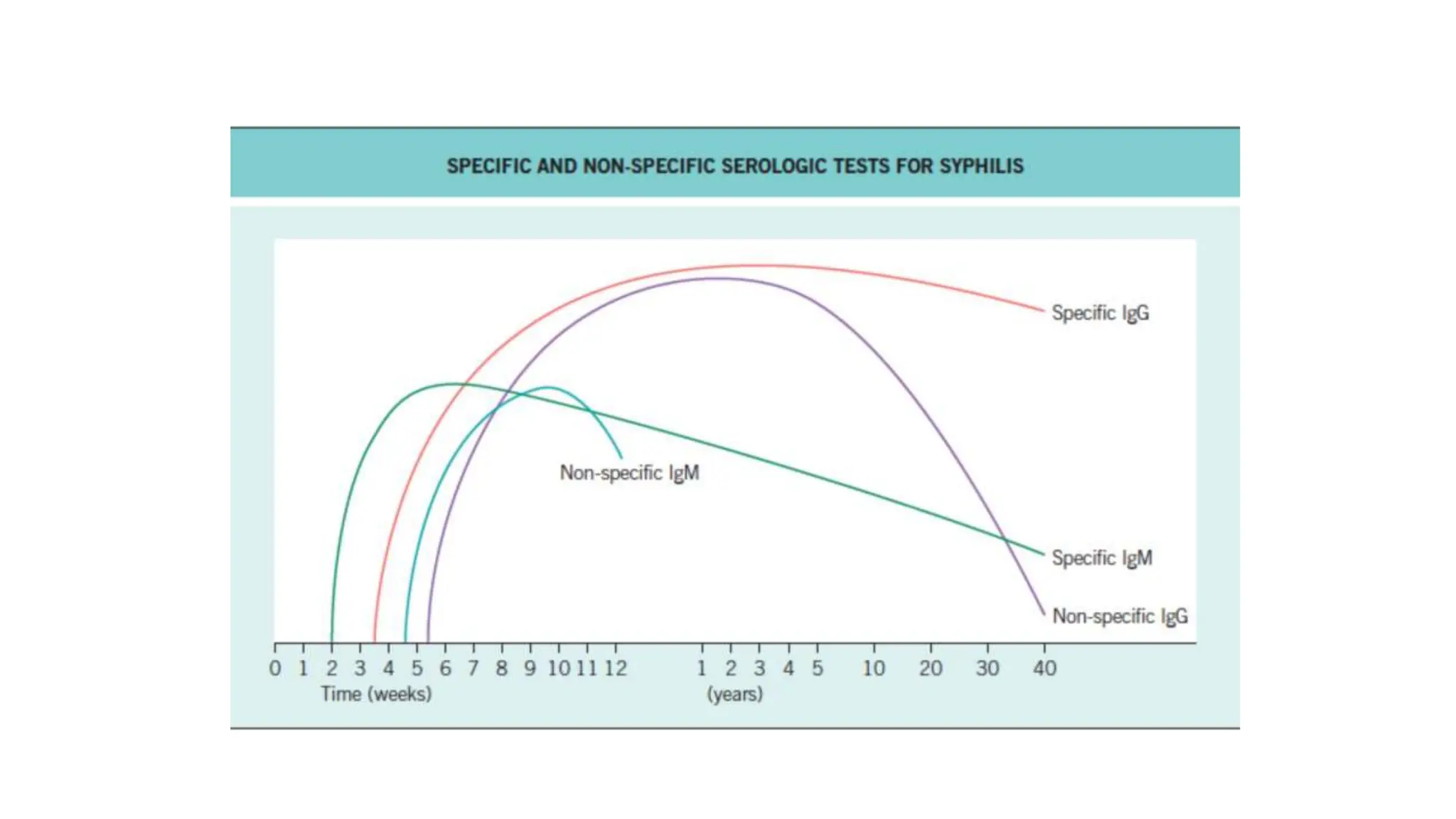seminar- lab dx syphilis revised.pptx lab diagnosis of syphilis.lab ...